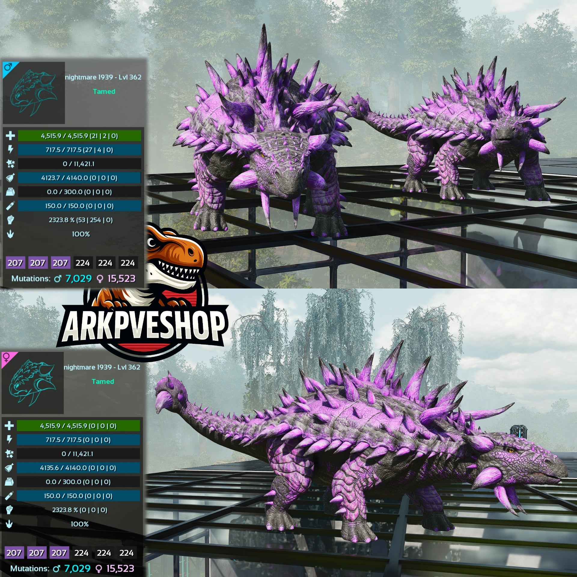Aberrant Ankylosaurus Ankylo 2323.8%Melee – My Ark Ascended