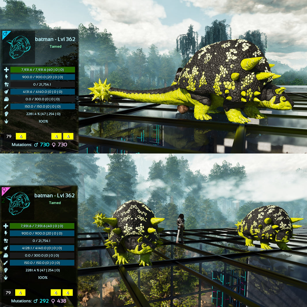 Products – My Ark Ascended