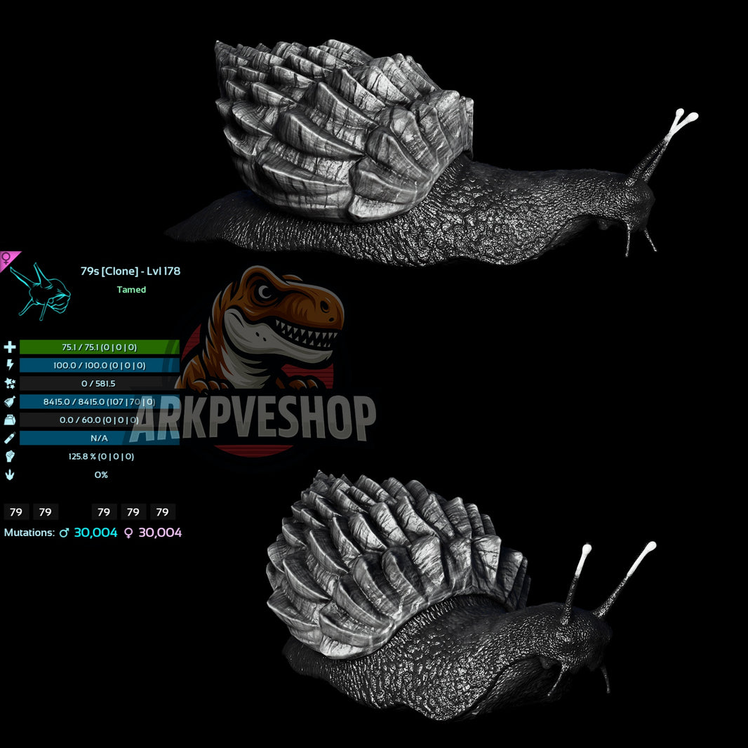 Products – My Ark Ascended