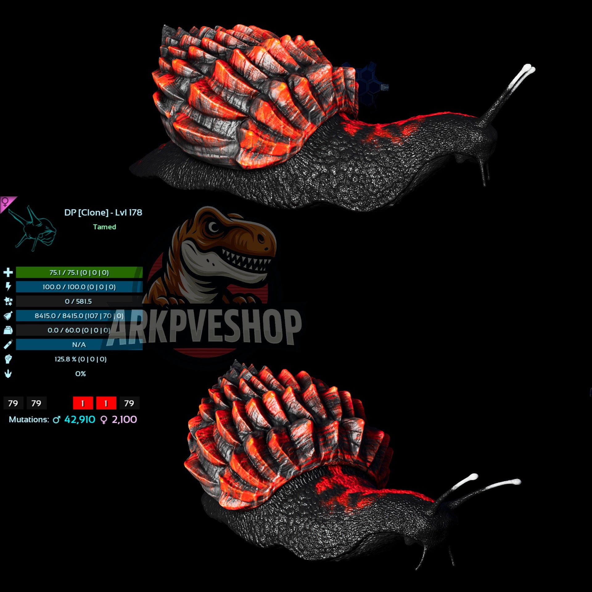Achatina Snail Clone – My Ark Ascended