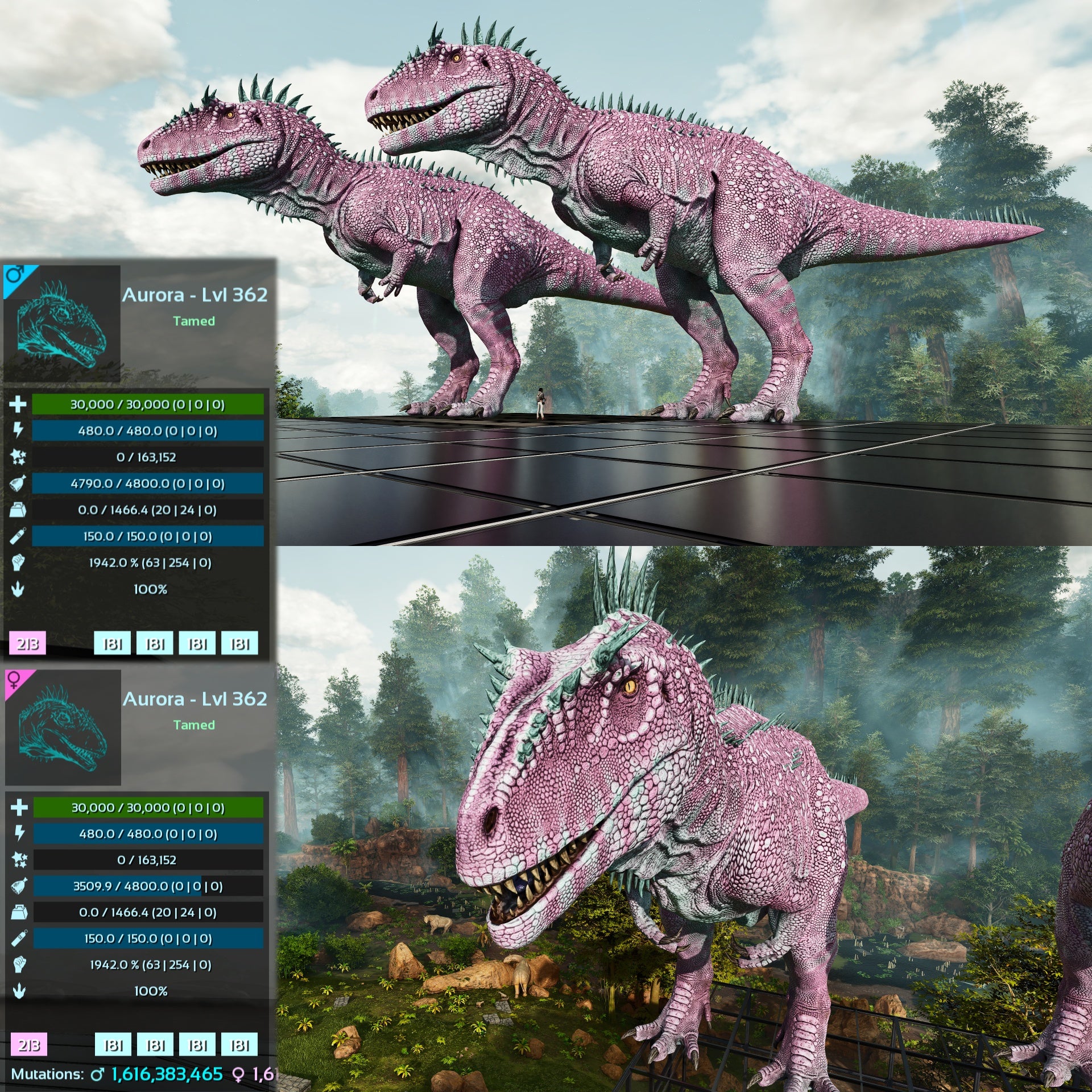 Carcharodontosaurus Carcha 1942%m Imprinted Mix Colours – My Ark Ascended