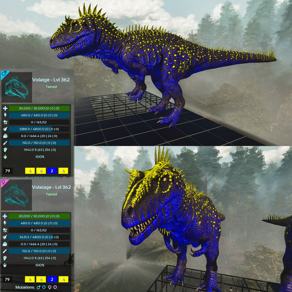 Carcharodontosaurus Carcha 1942%m Imprinted Mix Colours – My Ark Ascended
