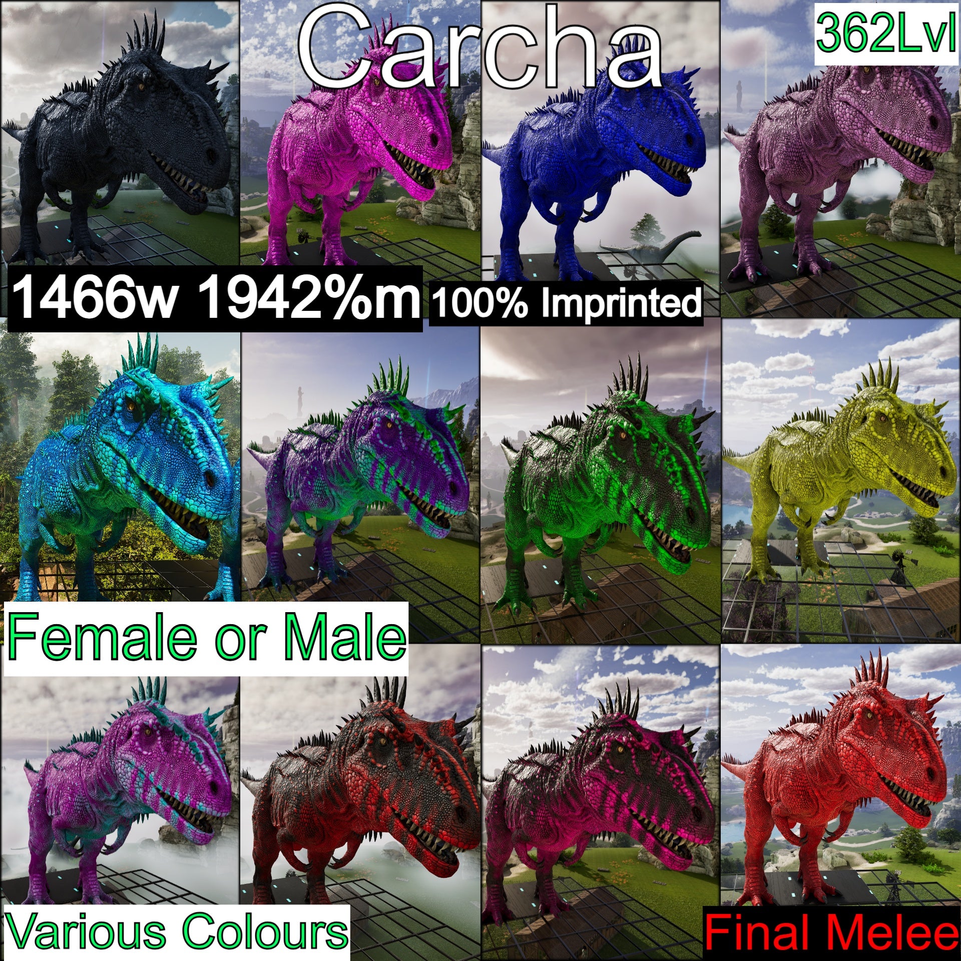 Carcharodontosaurus Carcha 1942%melee Imprinted – My Ark Ascended