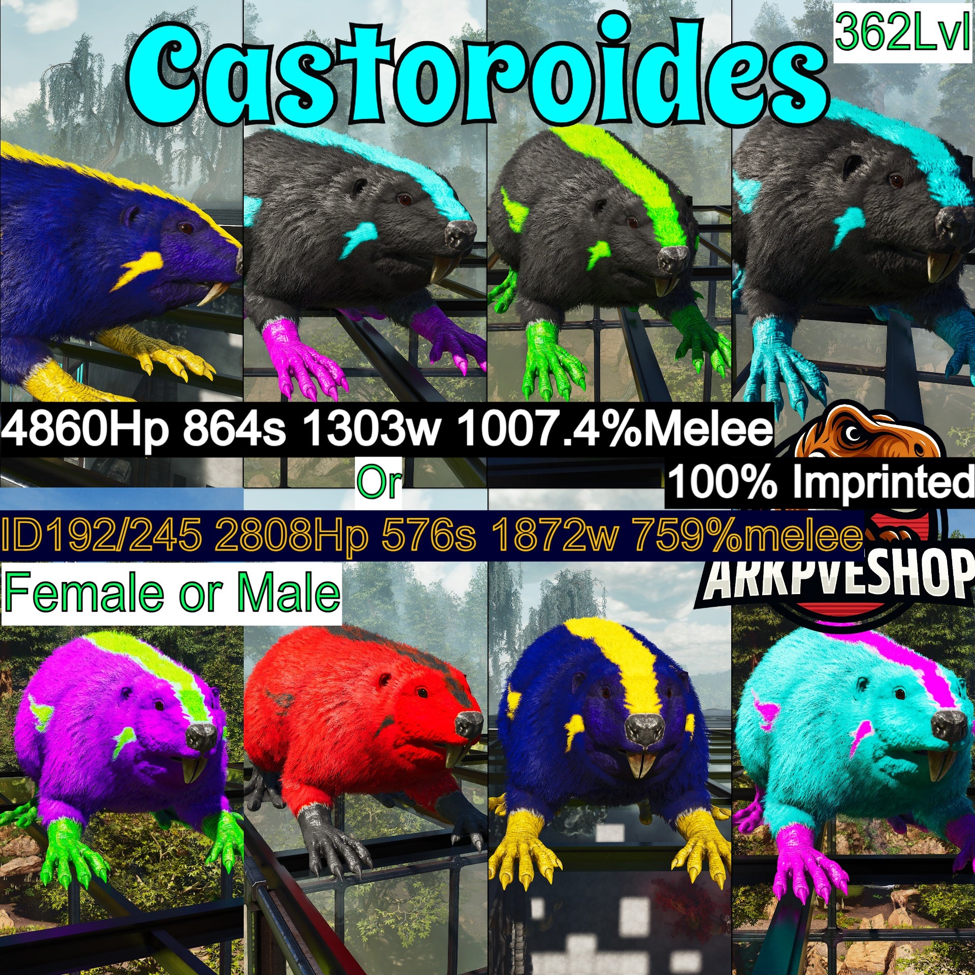 Castoroides 362Lvl – My Ark Ascended
