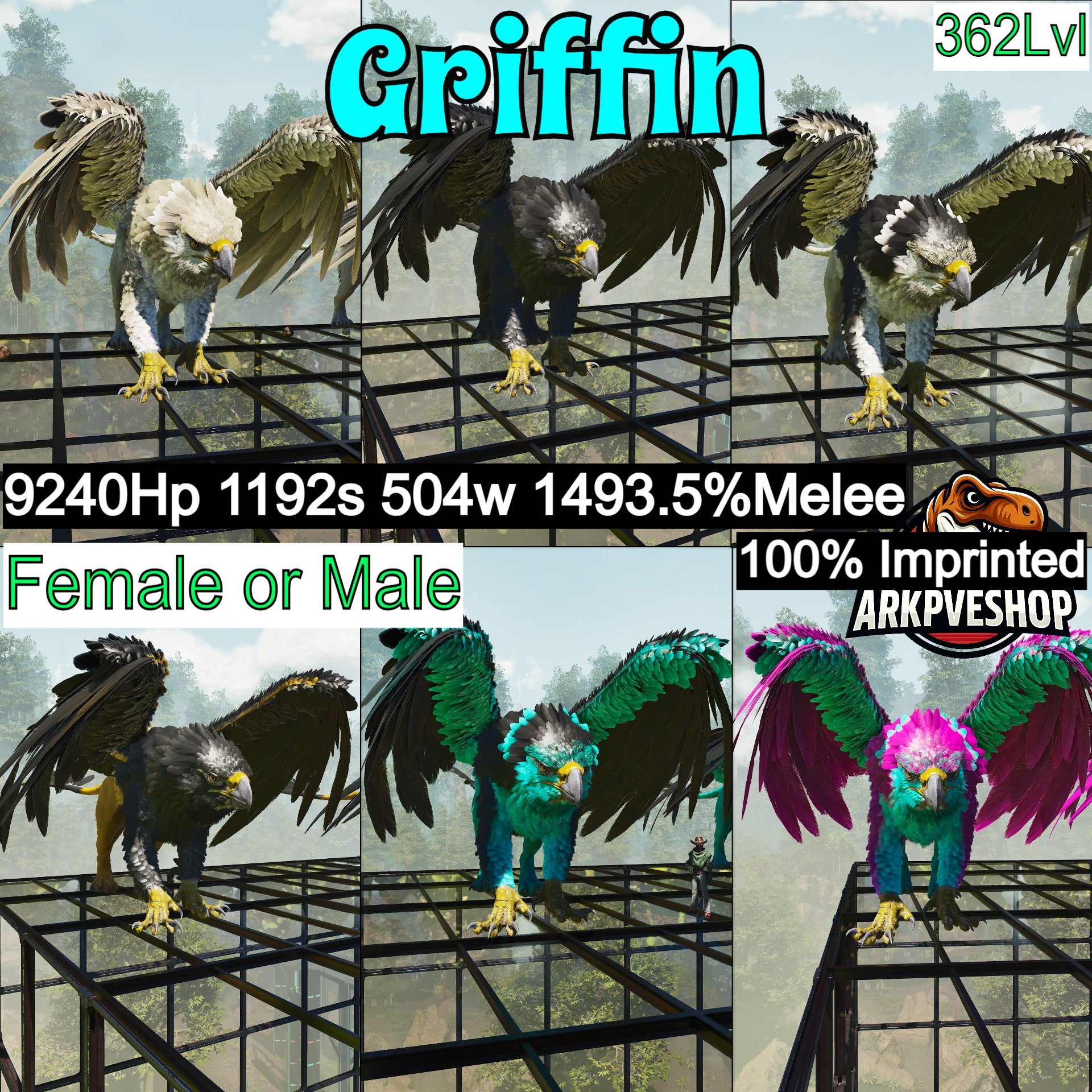 Griffin 362Lvl 1493.5% Melee – My Ark Ascended