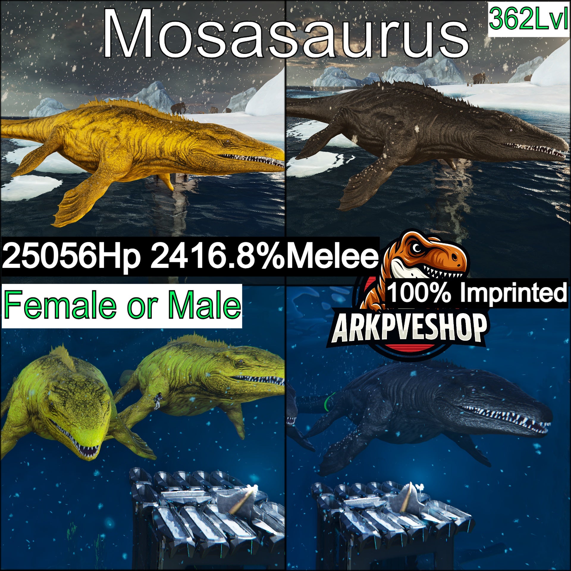 Mosasaurus 25056Hp 2416.8%melee Imprinted – My Ark Ascended