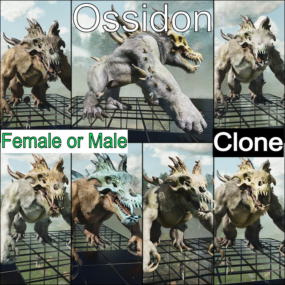 My Ark Ascended official PVE Buy Dino Items Structures