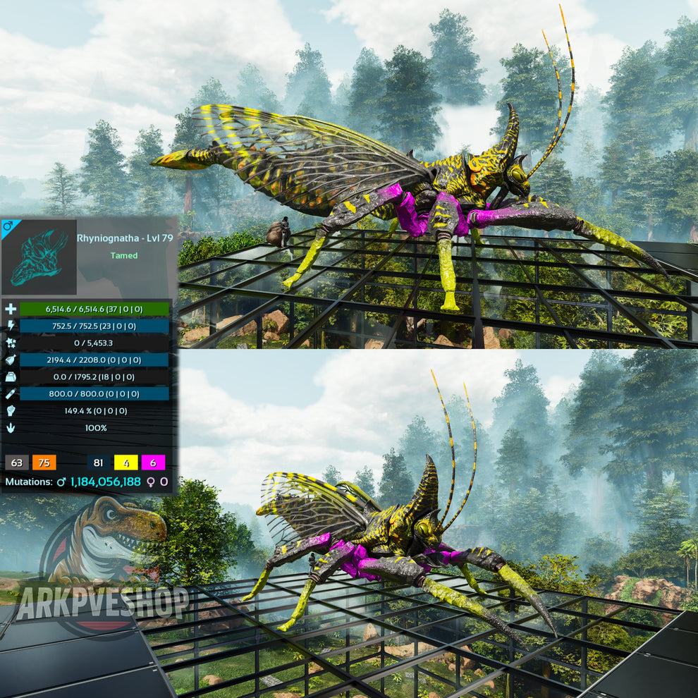 Buy Rhyniognatha / Rhynio Various Colours and Stats – My Ark Ascended