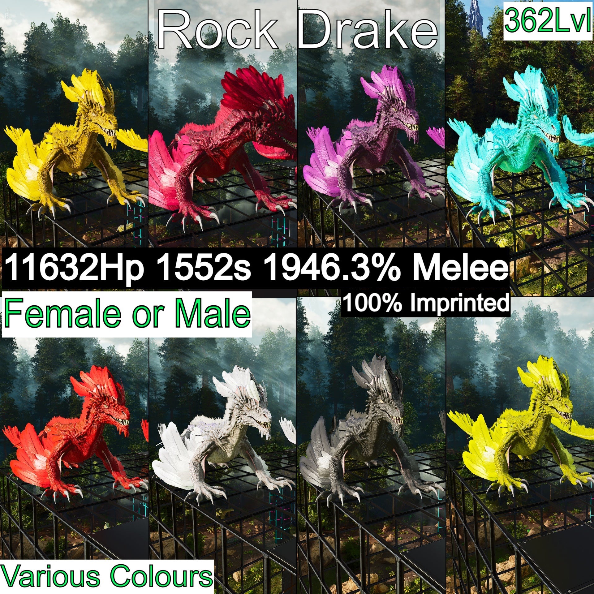 Rock Drake 1946%Melee Imprinted FINAL RELEASE Max – My Ark Ascended