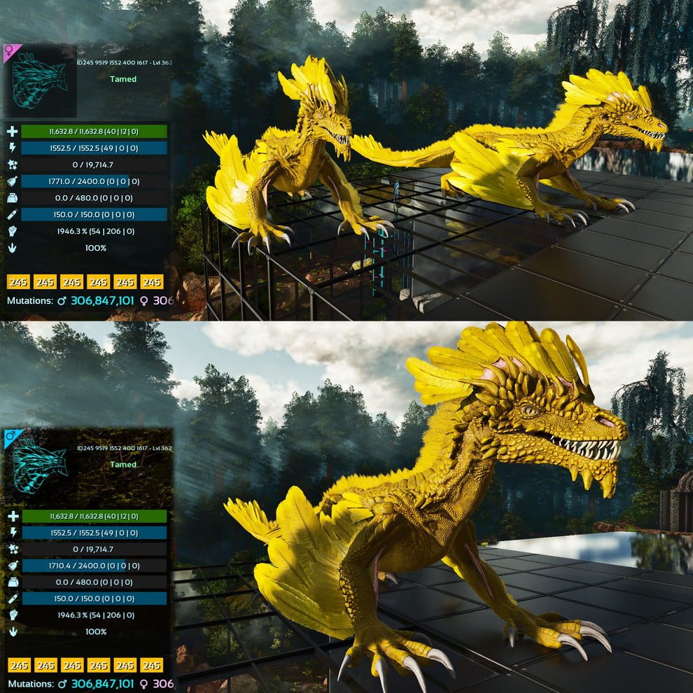 Rock Drake 1946%Melee Imprinted FINAL RELEASE Max – My Ark Ascended