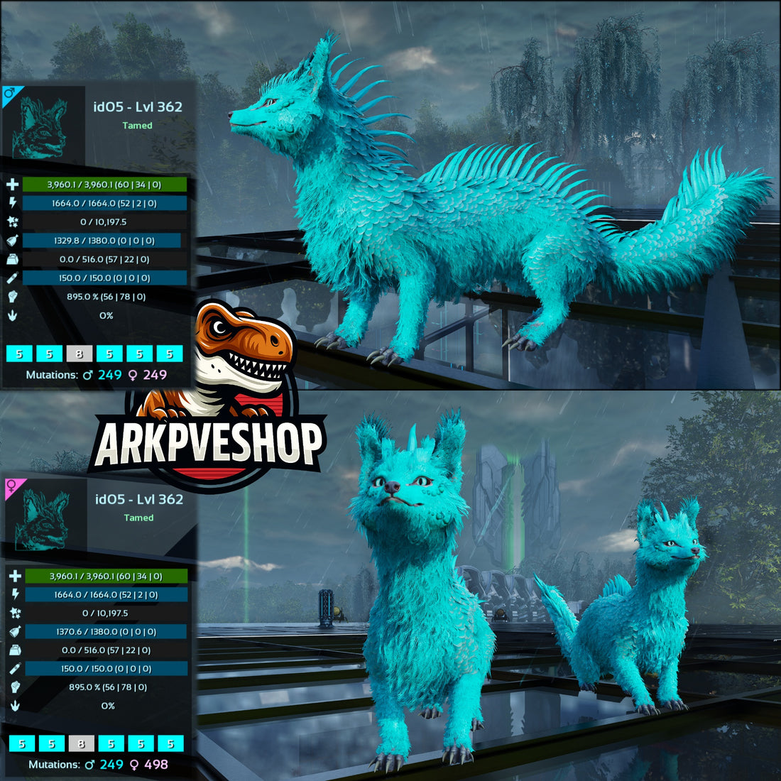🏷️ Veilwyn Lvl 362 🏷️ – My Ark Ascended