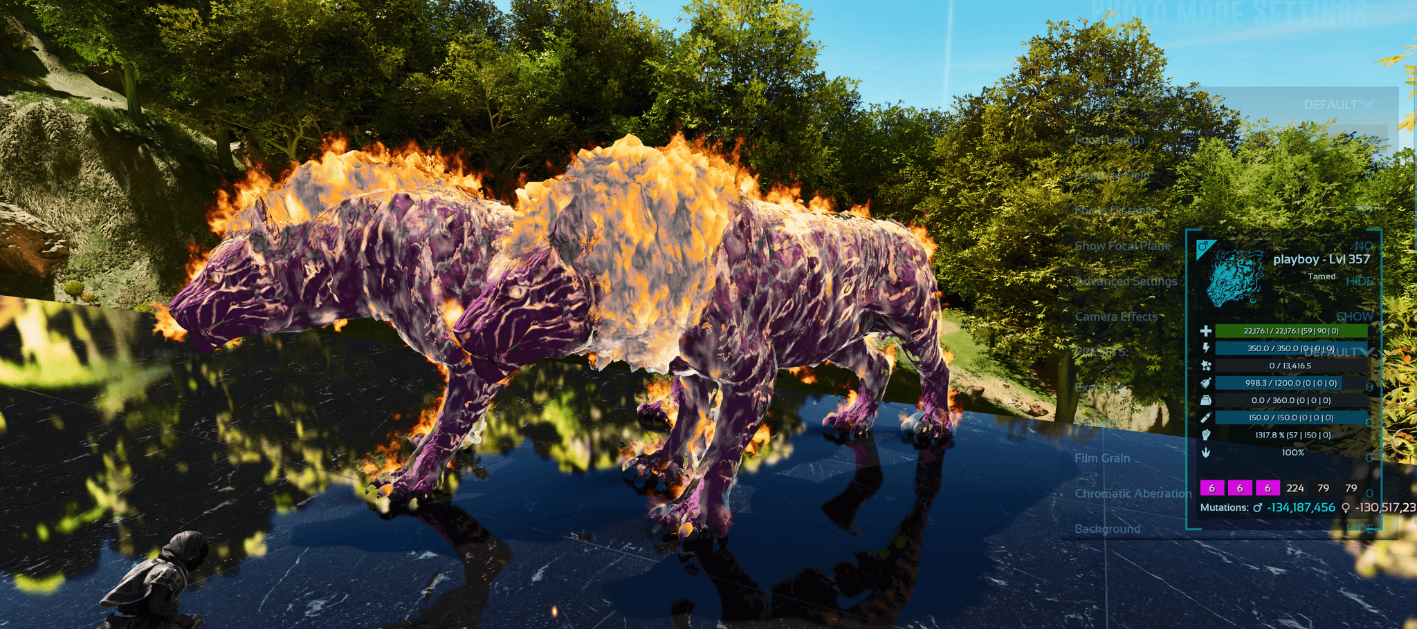 Pyromane – The Fiery Companion in ARK: Ascended – My Ark Ascended