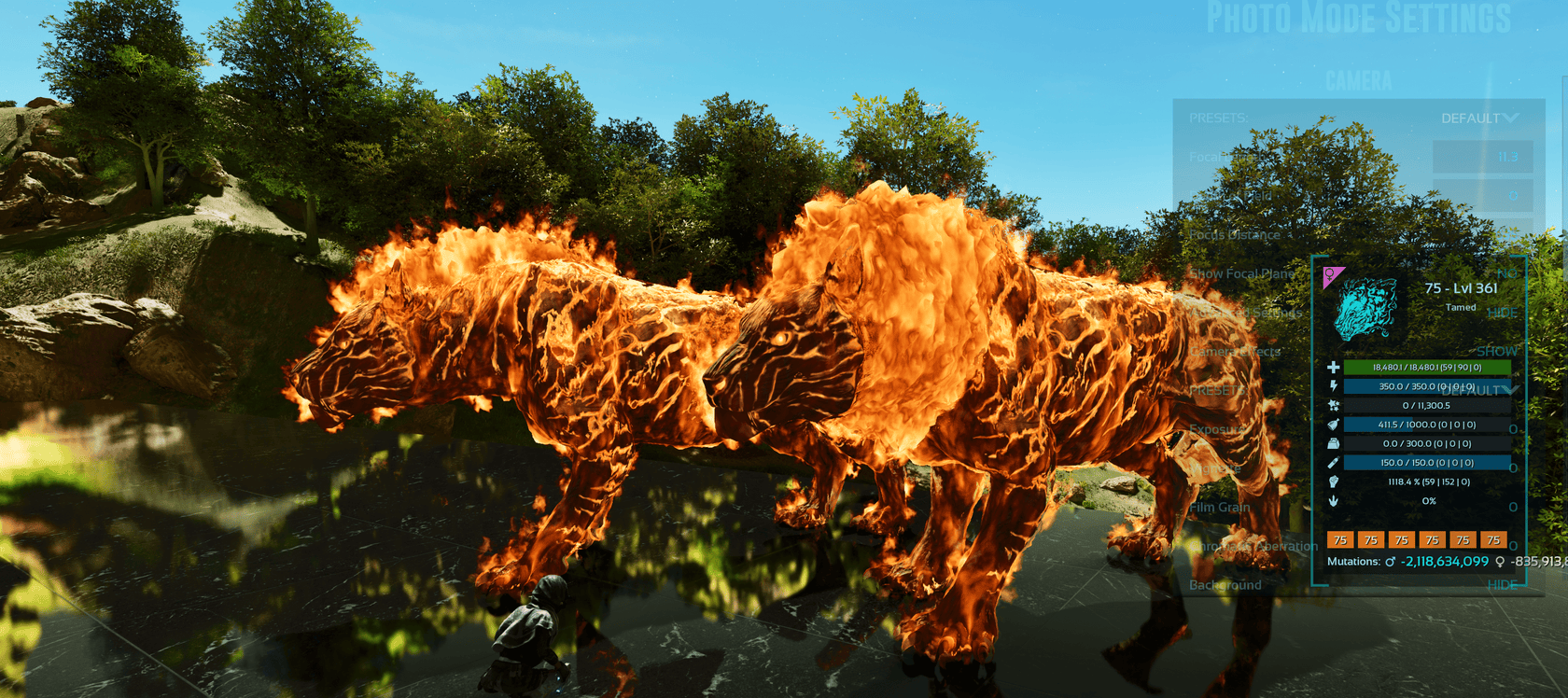 Pyromane – The Fiery Companion in ARK: Ascended – My Ark Ascended